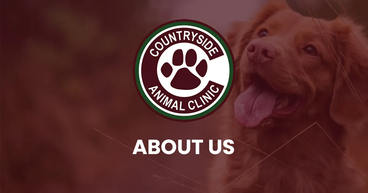 About - Countryside Animal Clinics of DeLand