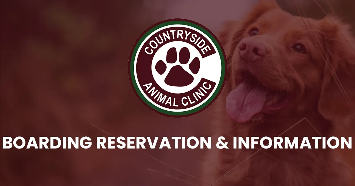Boarding Reservation & Information - Countryside Animal Clinics of DeLand