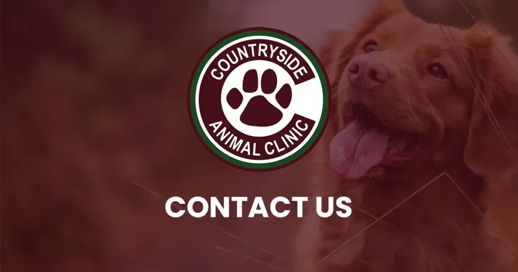 Contact Us - Countryside Animal Clinics of DeLand