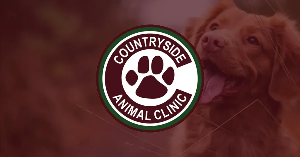 Veterinarian in DeLand FL | Countryside Animal Clinic