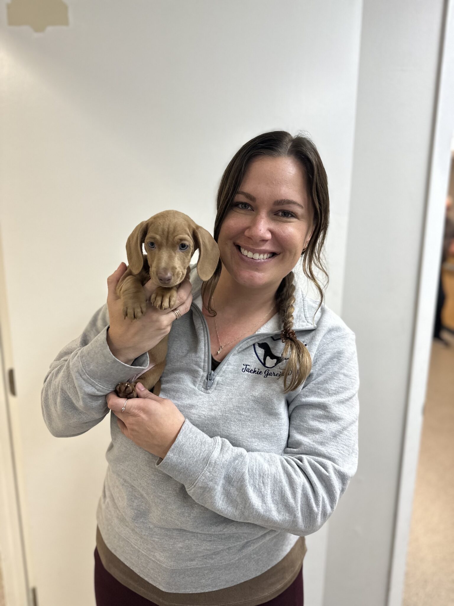 Too Cute Photo Gallery - Countryside Animal Clinics of DeLand