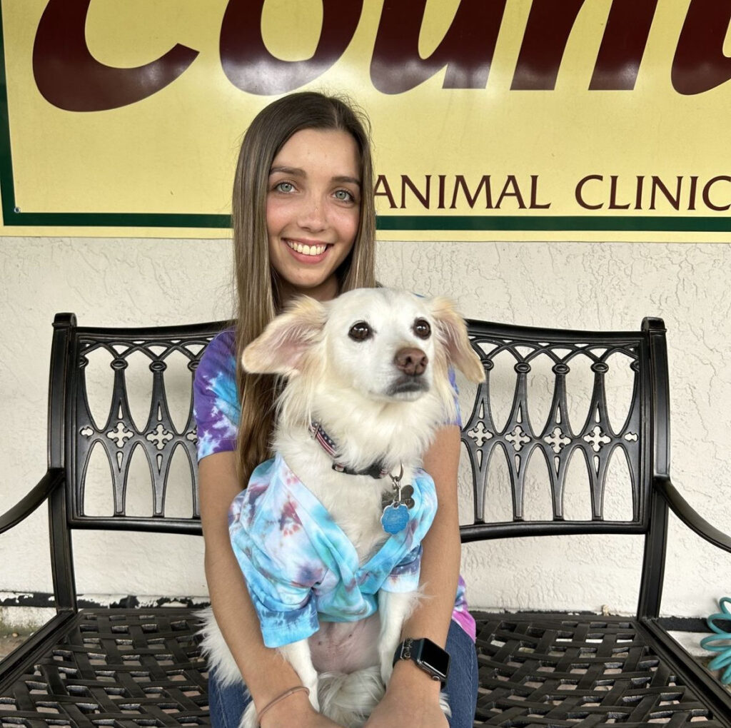 Too Cute Photo Gallery - Countryside Animal Clinics of DeLand