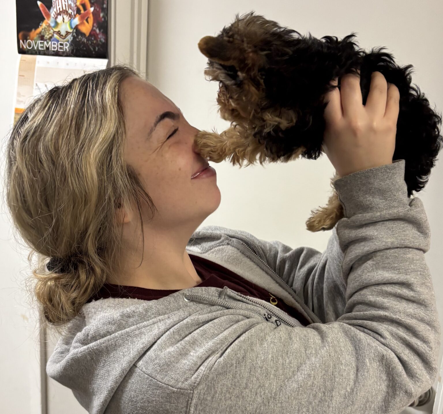 Too Cute Photo Gallery - Countryside Animal Clinics of DeLand